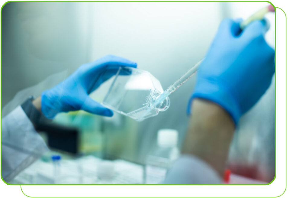 Discover Neotle Global: Revolutionizing Animal Health